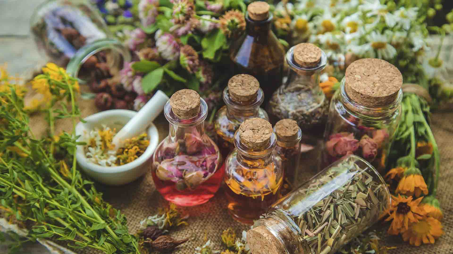Traditional healing systems to shape global health dialogue - Arab Vanguard
